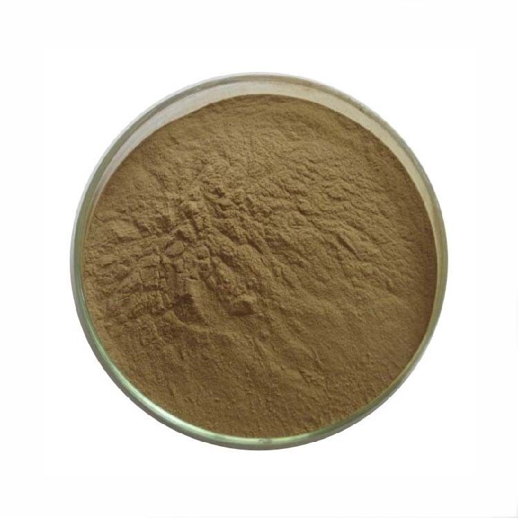 100g Gymnema Sylvestre Extract Powder 10:1 Blood Sugar Control – HelloYoung