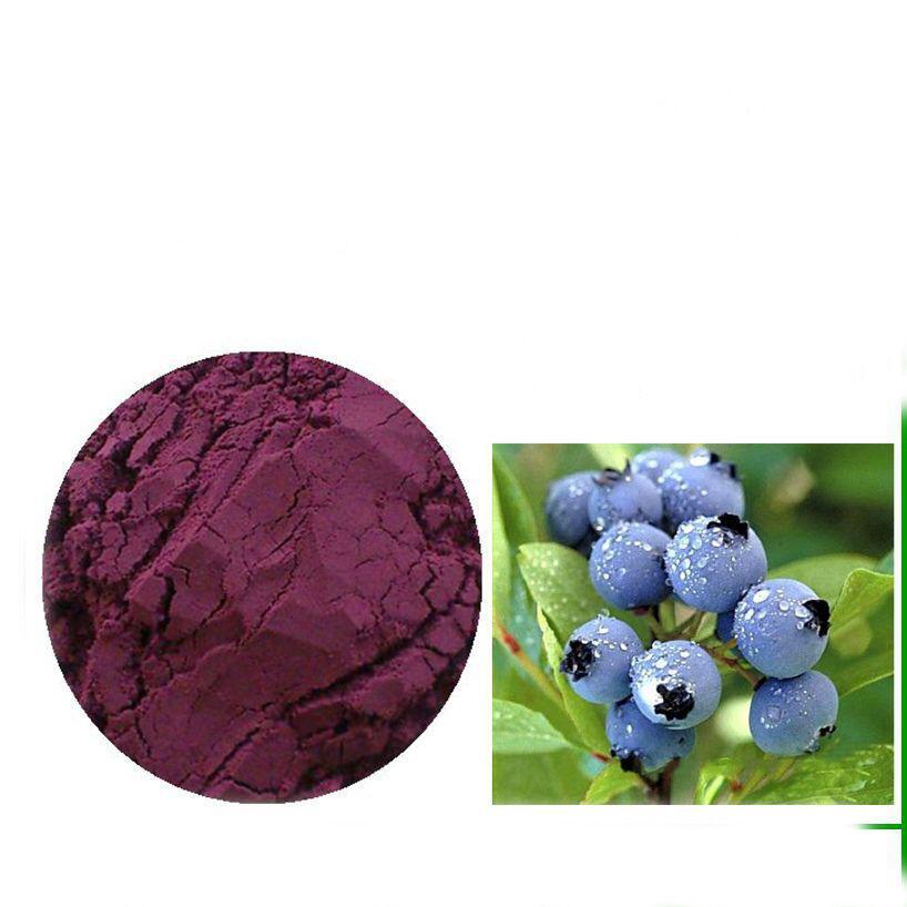 100g Bilberry Fruit Powder 4:1 Extract – Strong Antioxidant, High Anth ...