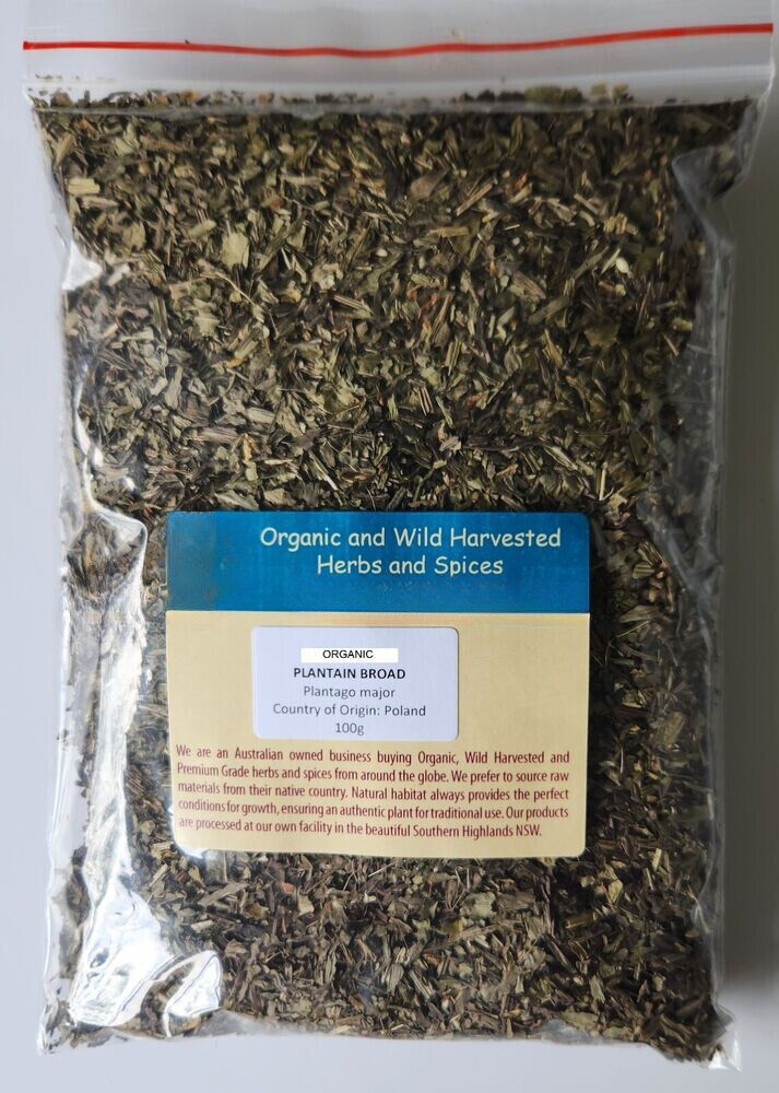 PLANTAIN BROAD LEAF ORGANIC HERB TEA 100g Plantago major Psyllium Wayb ...
