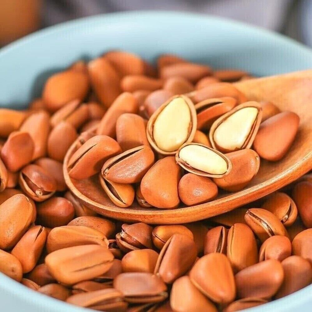 Premium Pine Nuts Large Kernel Handpicked Healthy Snack Natural Protei ...