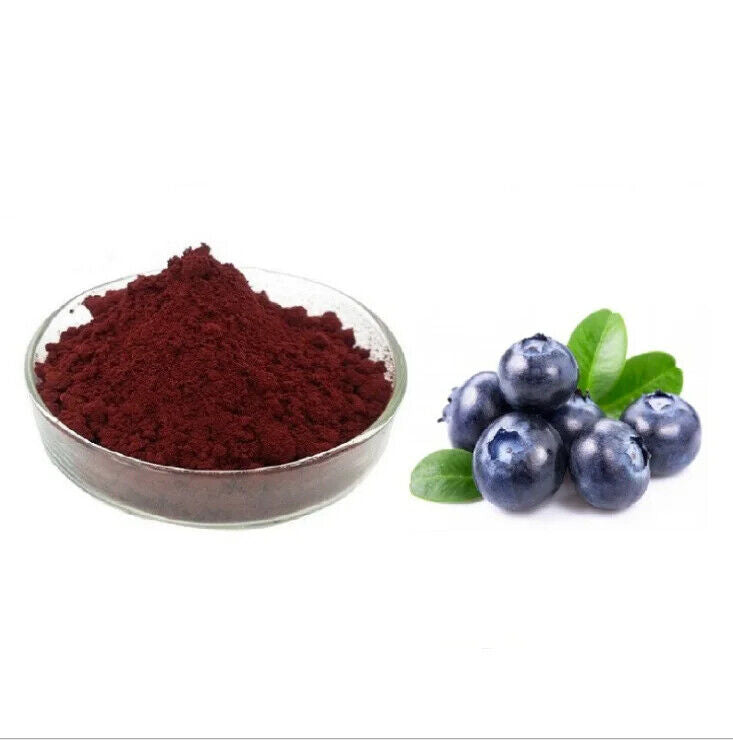 100% Pure Blueberry Fruit Powder Blueberry Juice Powder Concentrate Po ...