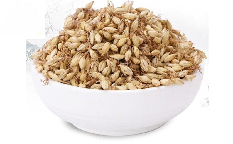 Mai Ya/麦芽/Premium/Malt/Fructus Hordei Germinatus Malt – HelloYoung