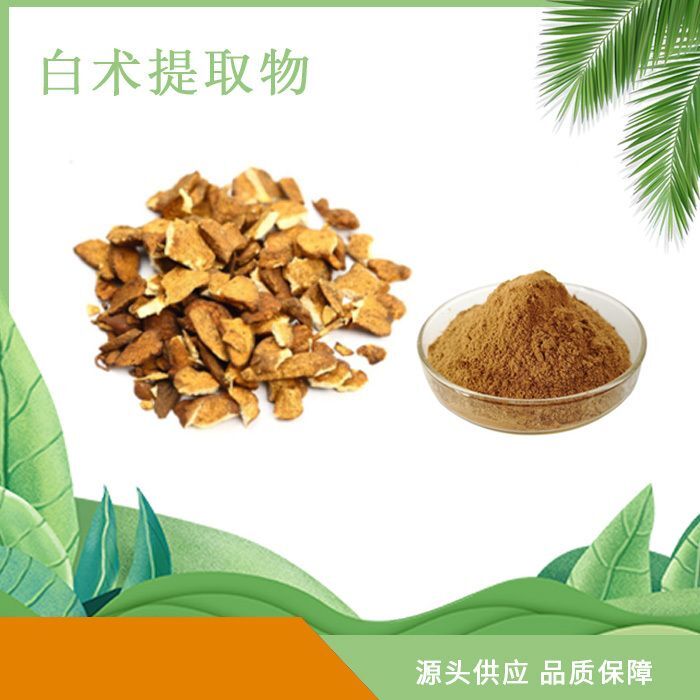 Bai Zhu Extract 10:1 Concentrate | Atractylodes Rhizome Vegan Herbal T ...